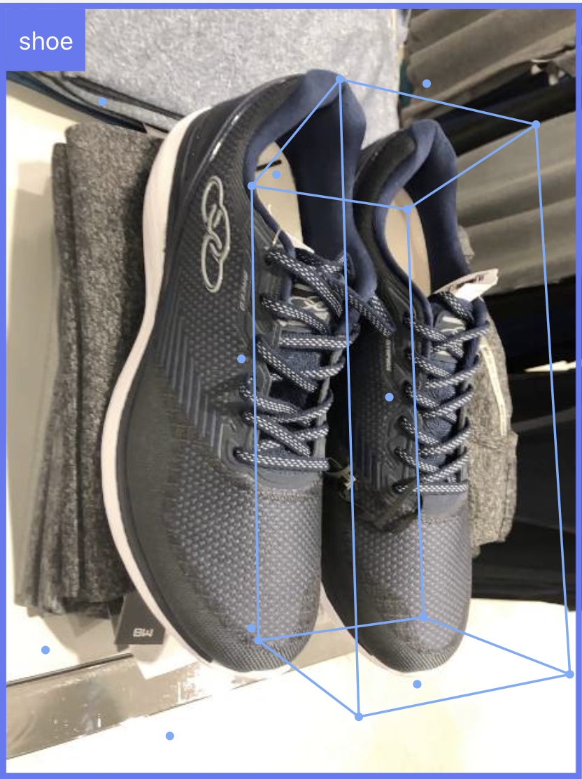 Schema for keypoints (points2d/points3d) documentation · Issue #905 · activeloopai/deeplake · GitHub