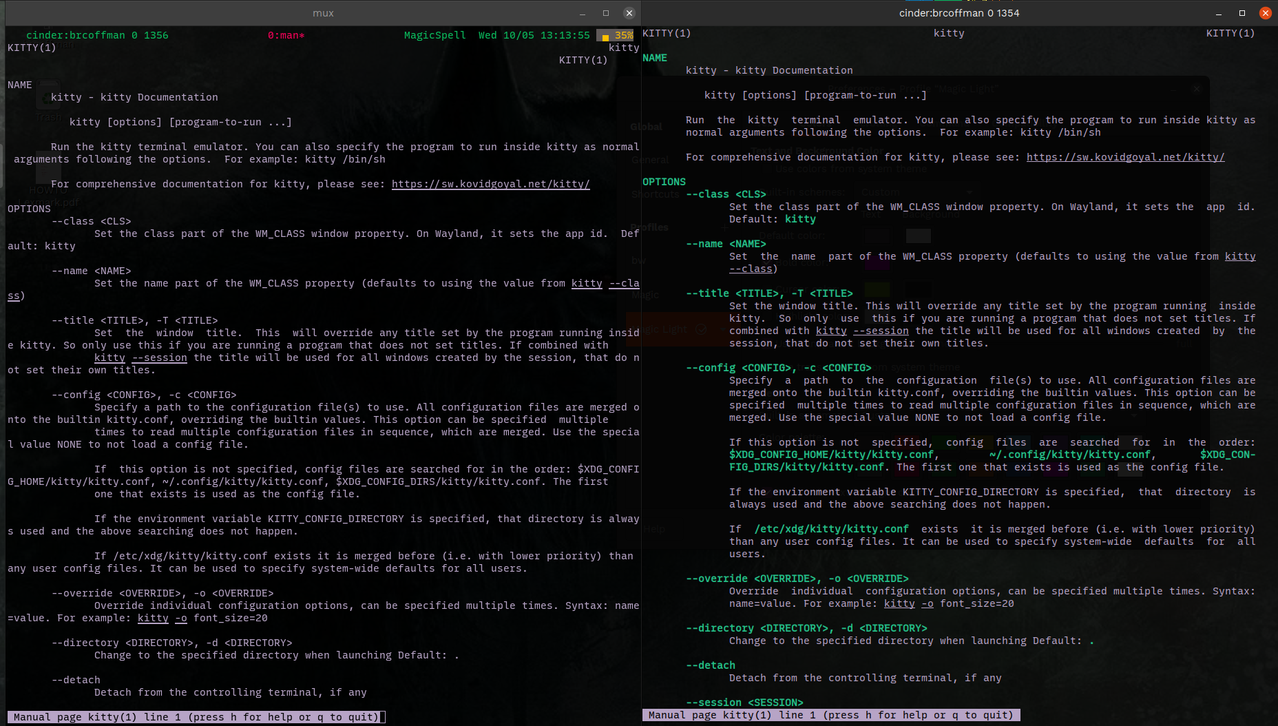 Bold Text Color · Issue #5559 · kovidgoyal/kitty · GitHub