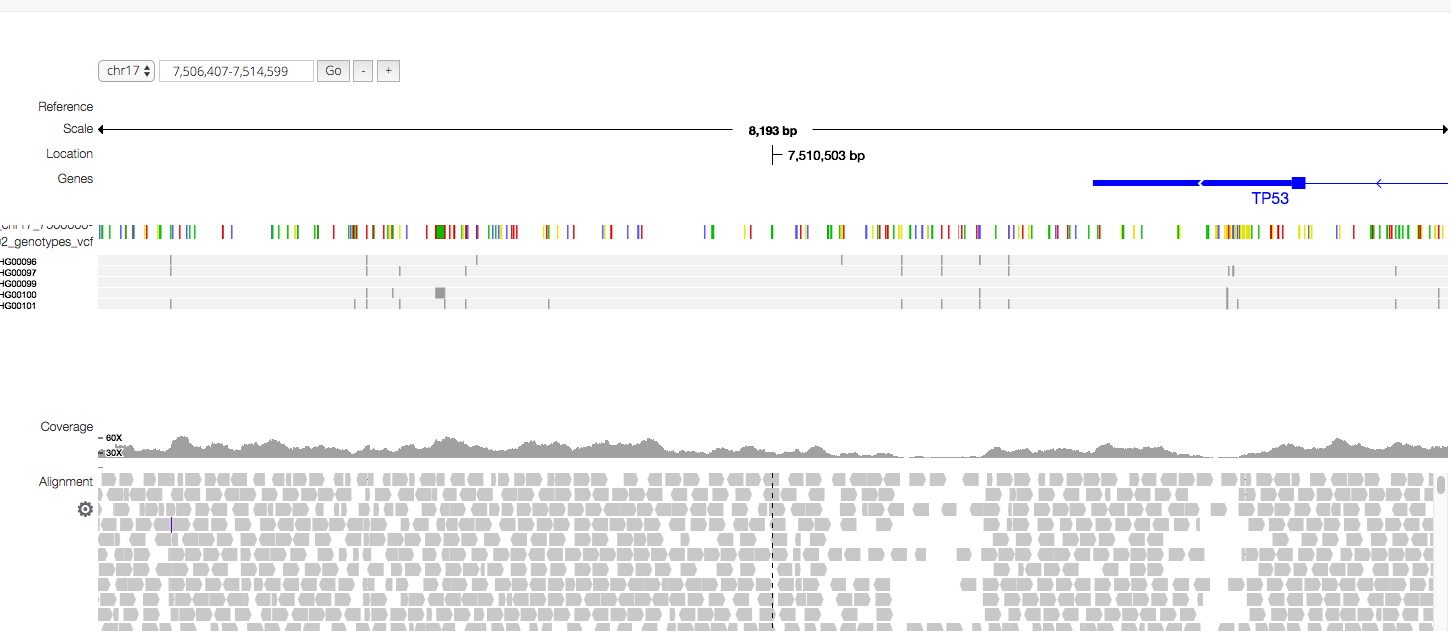 missing an output location for shuffle 1 · Issue #300 · bigdatagenomics/mango · GitHub