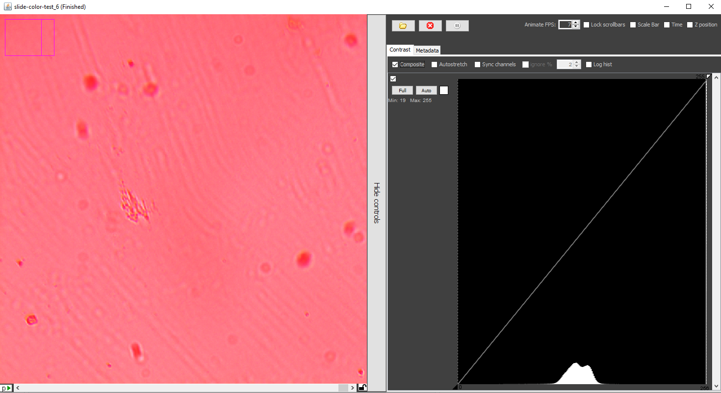 RGBA channel inverted for color camera · Issue #221 · micro-manager/pycro-manager · GitHub