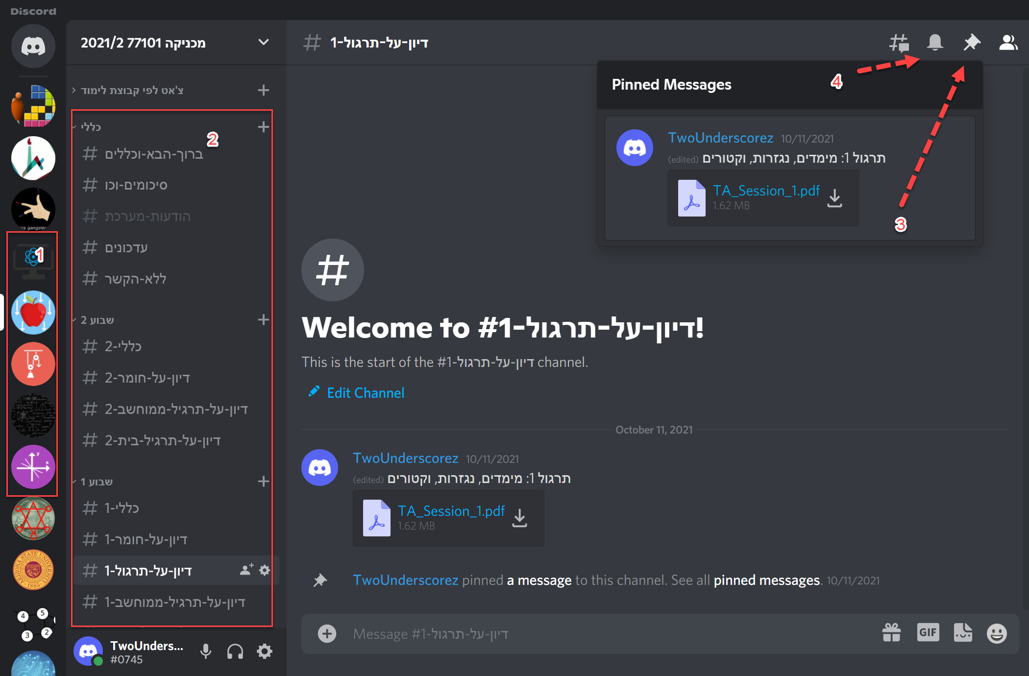 GitHub - TwoUnderscorez/huji-discord