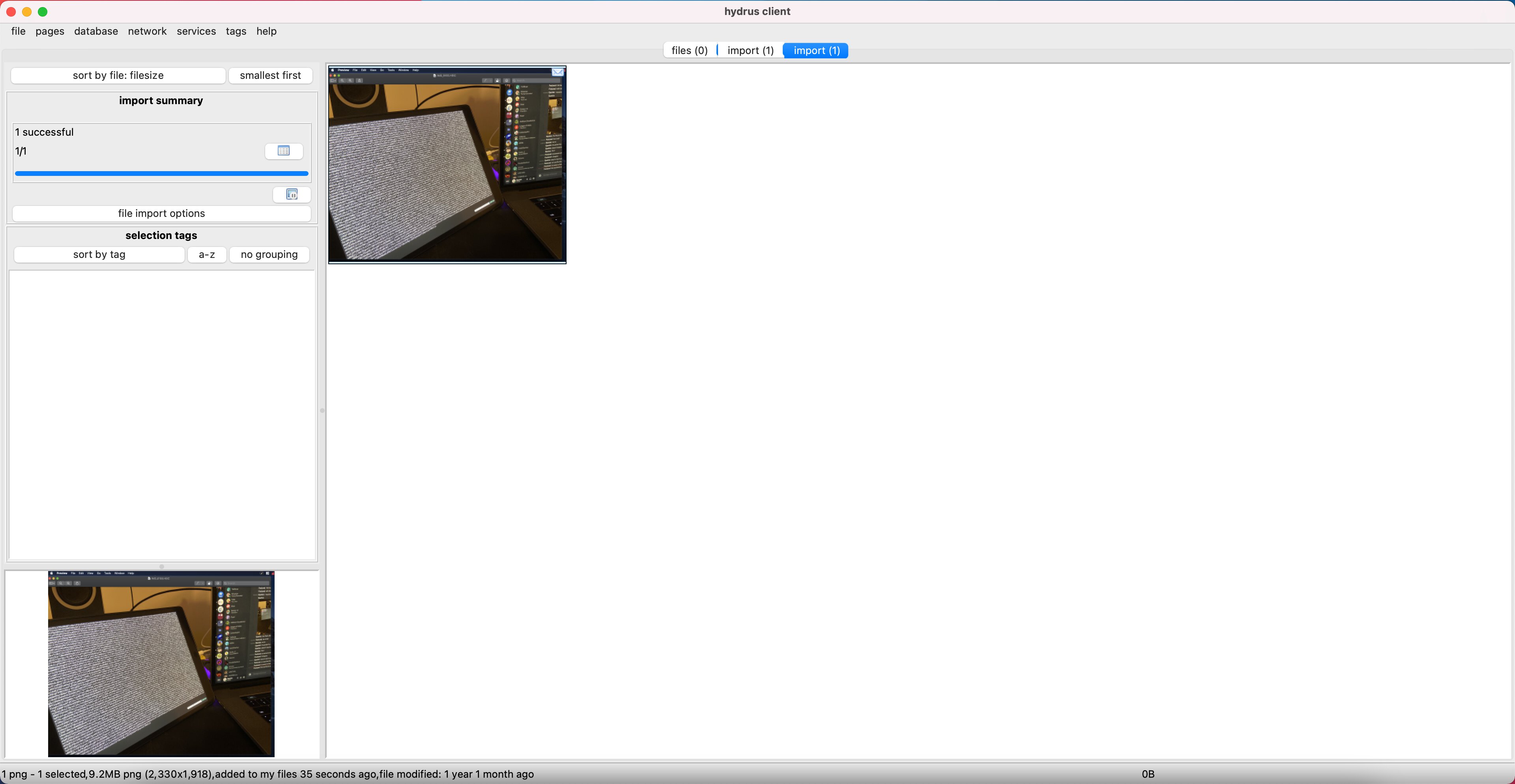 macOS does not display images at full resolution · Issue #864 · hydrusnetwork/hydrus · GitHub