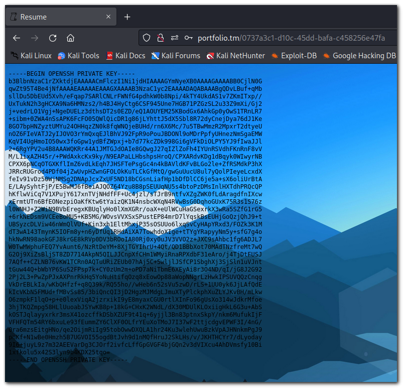 GitHub - JoshMorrison99/TMCTF