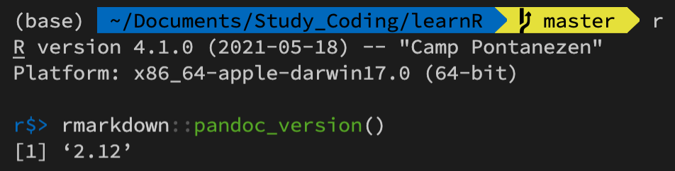 cannot render .rmd. · Issue #360 · REditorSupport/vscode-R · GitHub