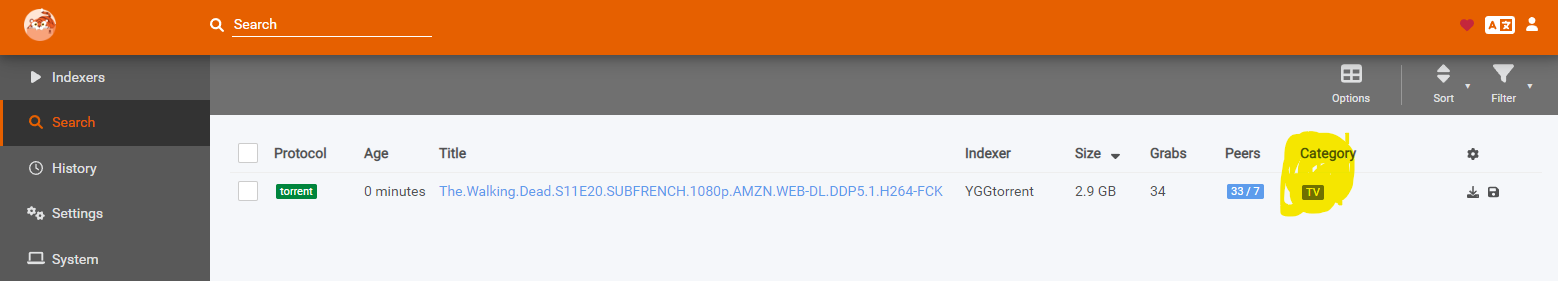 Category not matching (Prowlarr) · Issue #481 · autobrr/autobrr · GitHub