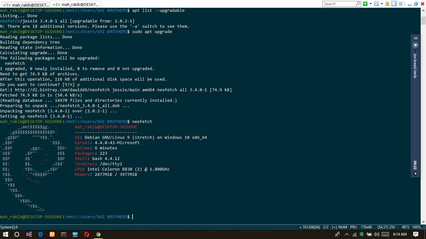 Doesnt Show Exact Info In Wsl Debian · Issue 966 · Dylanarapsneofetch · Github 