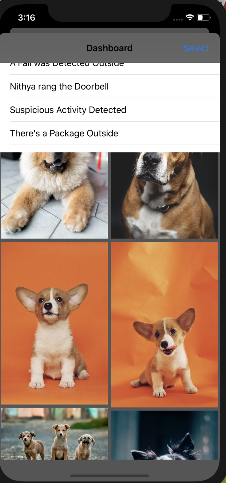 GitHub - roshni98/CapstonePracticeApp: Senior Capstone Practice- creating an iOS app by using ...