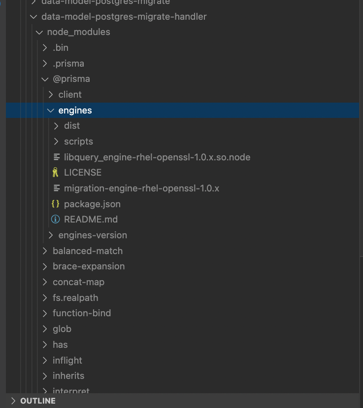 AWS Lambda run prisma db push get Error: Migration engine exited. Error: Could not find ...