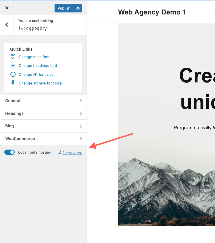 Toggle in customizer to enable Google fonts local hosting · Issue #3671 · Codeinwp/neve · GitHub