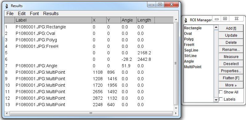 Results Table label disappeared for ROI line measurement · Issue #228 ...