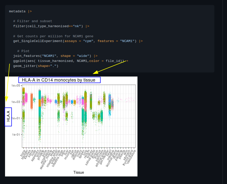 README inconsistencies - Visualise gene Transcription section · Issue #91 · stemangiola ...