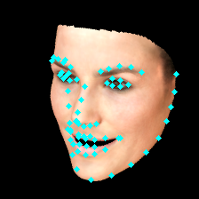2D Landmark matching problem · Issue #82 · microsoft/Deep3DFaceReconstruction · GitHub