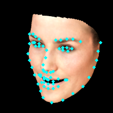 2D Landmark matching problem · Issue #82 · microsoft ...