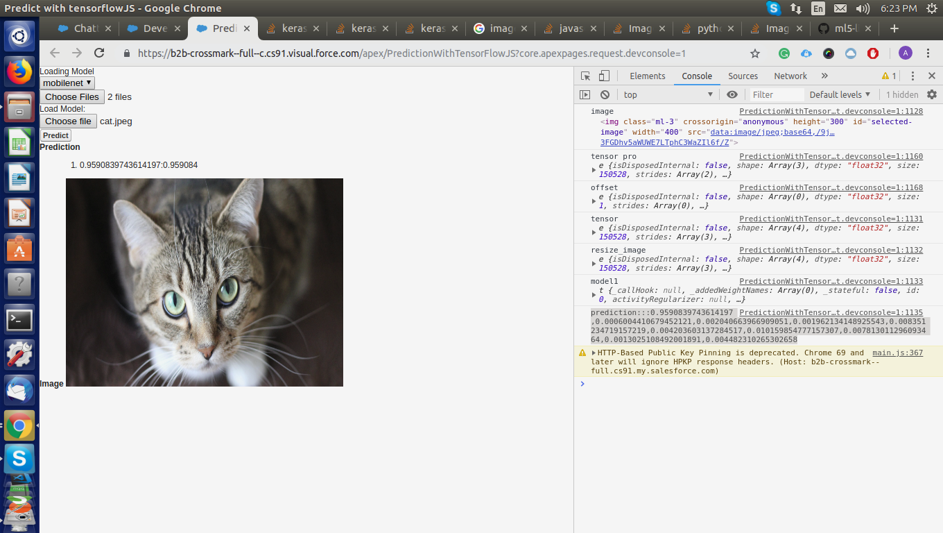 Image Recognitionlabeling Using Tensorflowjs · Issue 1288 · Tensorflowtfjs · Github