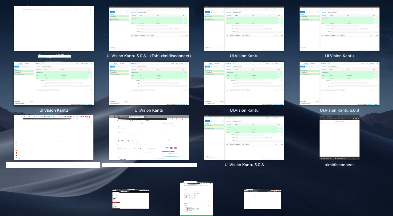Multiple kantu windows opening · Issue #79 · A9T9/RPA · GitHub