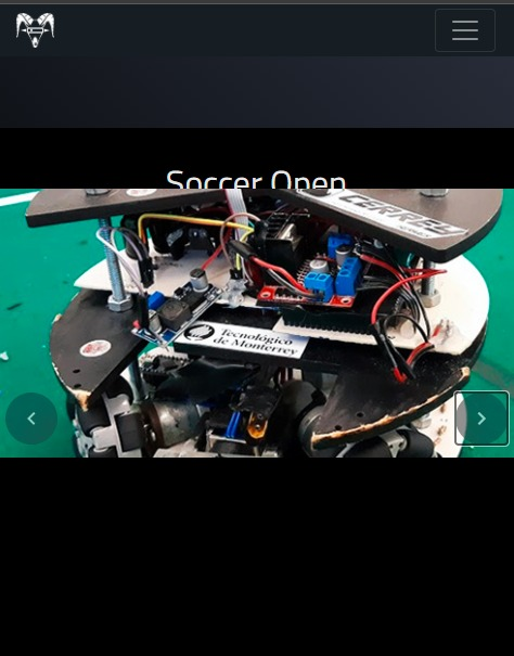 [HotFix] Projects responsivity · Issue #119 · RoBorregos/roborregos-web · GitHub