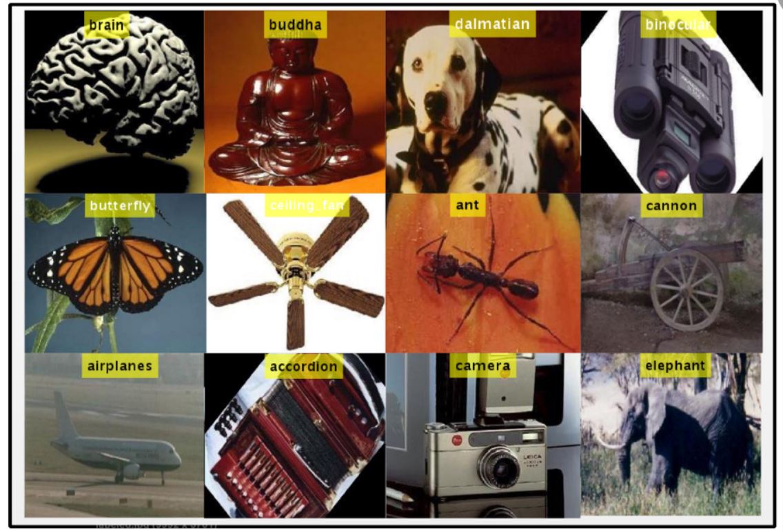 Github Rashidrao Pkobject Detection And Classification Based On 2424