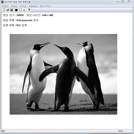 GitHub - ddolsoon/RLE_BMP_Image_Viewer: RLE로 압축된 BMP 파일 뷰어
