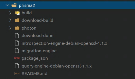 Preview 20 fails to install Prisma engines on Linux · Issue #1400 · prisma/prisma · GitHub
