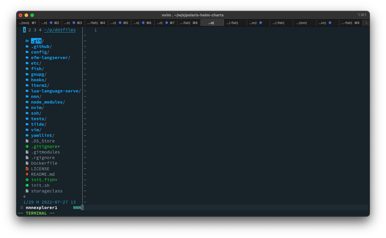 starting nvim in a directory with NnnExplorer doesn't show an empty buffer anymore · Issue #65 ...