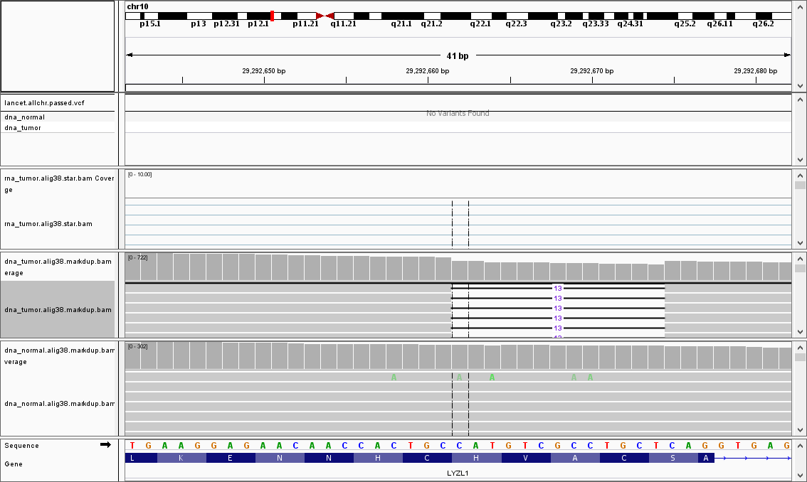 lancet fails to detect an obvious deletion, which it detected in a previous run · Issue #19 ...