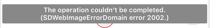 The operation couldn't be completed. ( SDWebImageErrorDomain error 2002.) · Issue #2884 ...