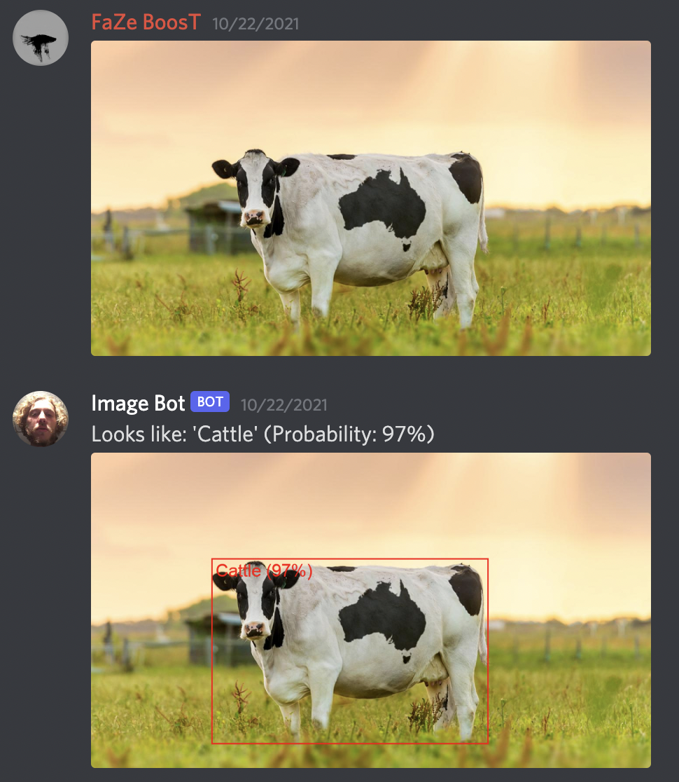 GitHub - brianliebe/vision-bot: Discord bot that identifies objects in ...