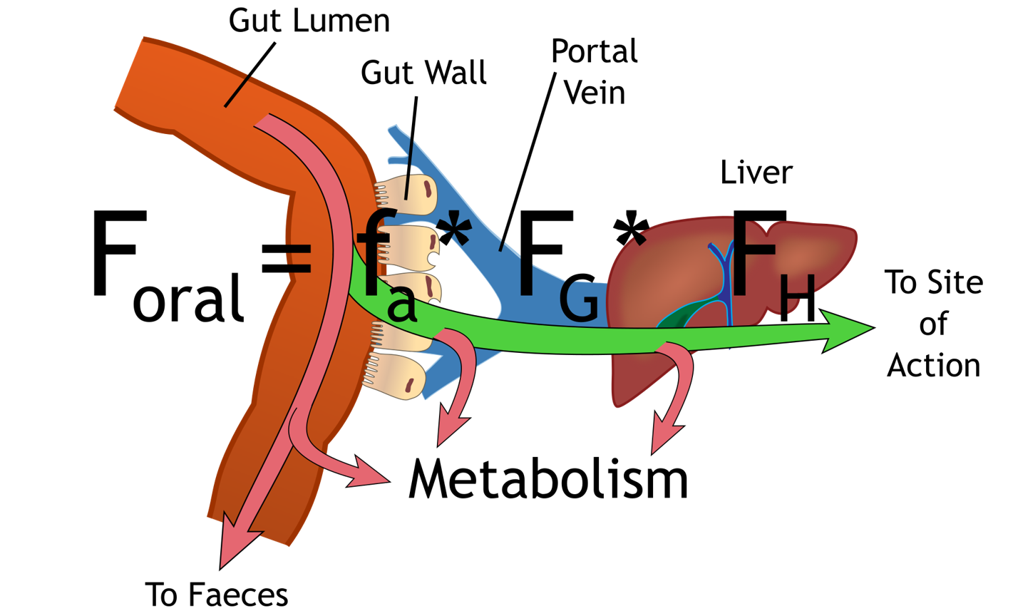 Fraction absorbed should be renamed to "Fabs into mucosa" · Issue #1198 ...