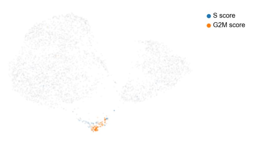 velocity stream and PAGA arrows direction are opposite · Issue #313 · theislab/scvelo · GitHub