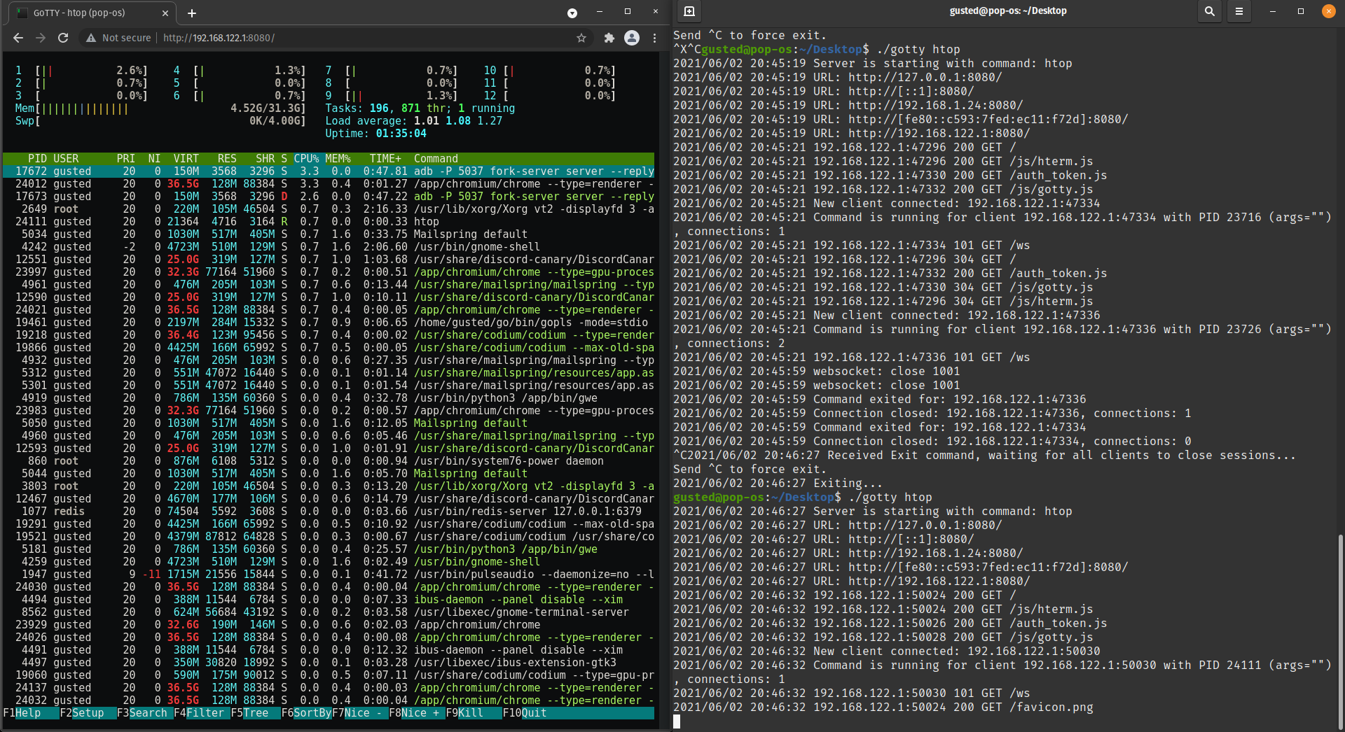 [BUG] Dark Reader breaks Gotty Terminal Emulation during macOS dark ...