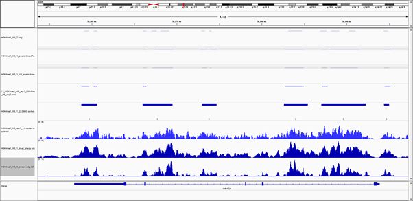 Bug: bdgbroadcall reporting problem · Issue #362 · macs3-project/MACS · GitHub