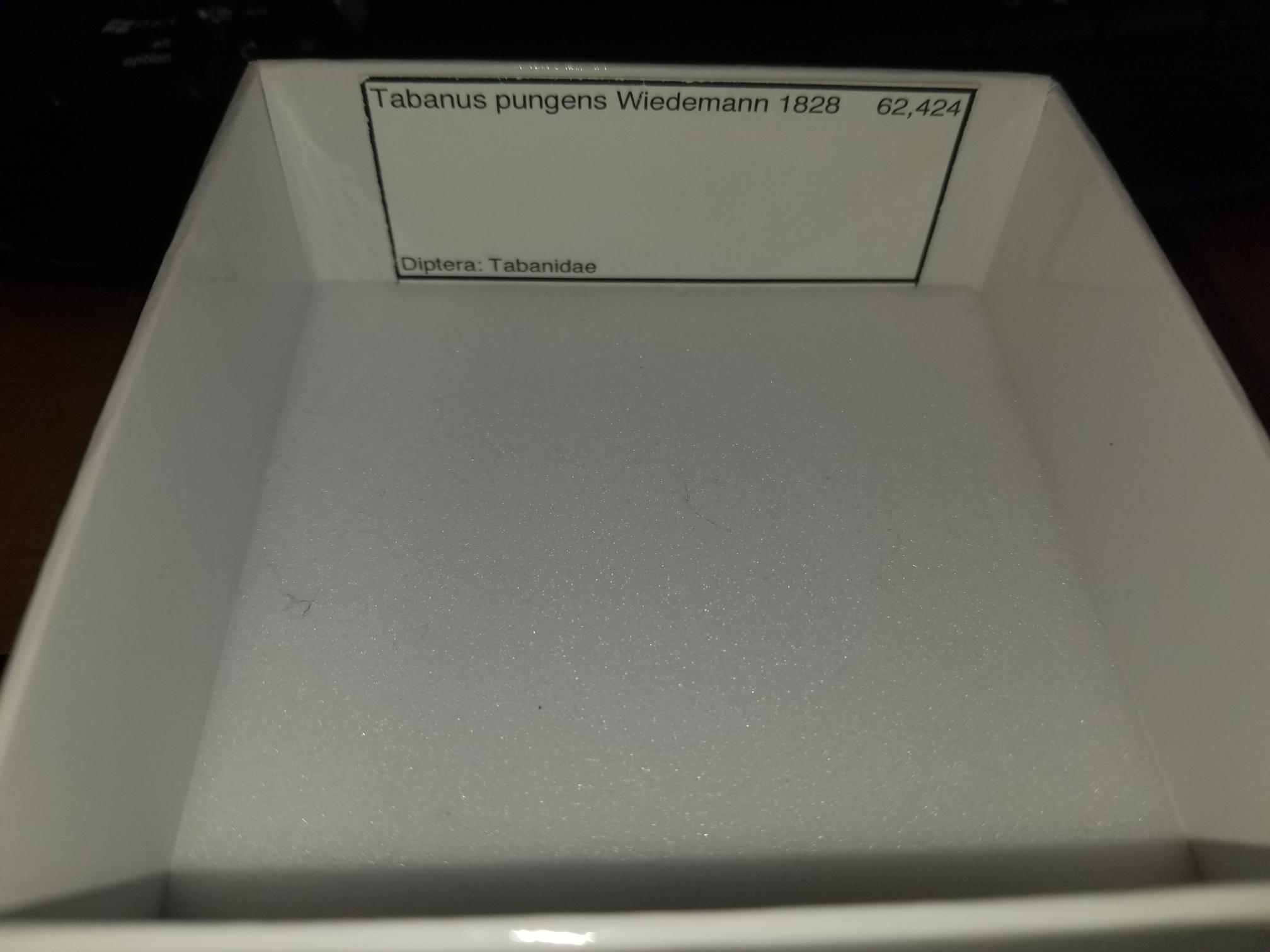 [Bug]: Unit tray labels need botton 1/4 inch clear · Issue #3191 ...