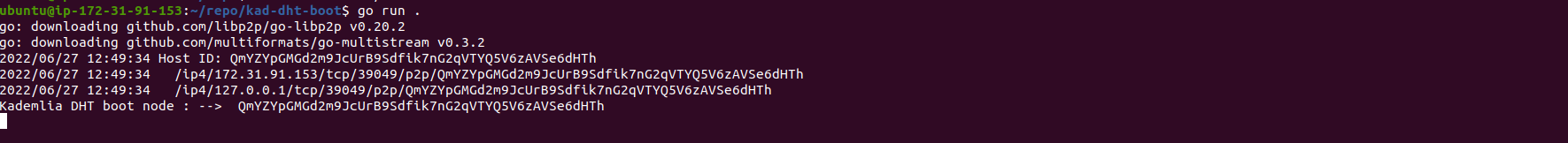 GitHub - avvvet/kad-dht-boot: Kademlia DHT boot node : for initial booting new joing p2p nodes.