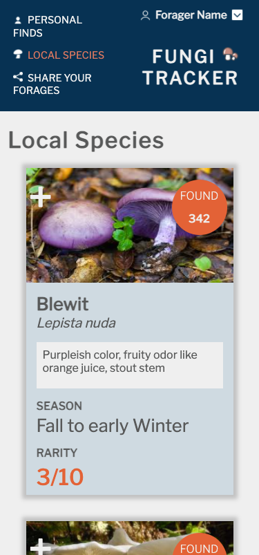 Github Kendallha Css Static Comp
