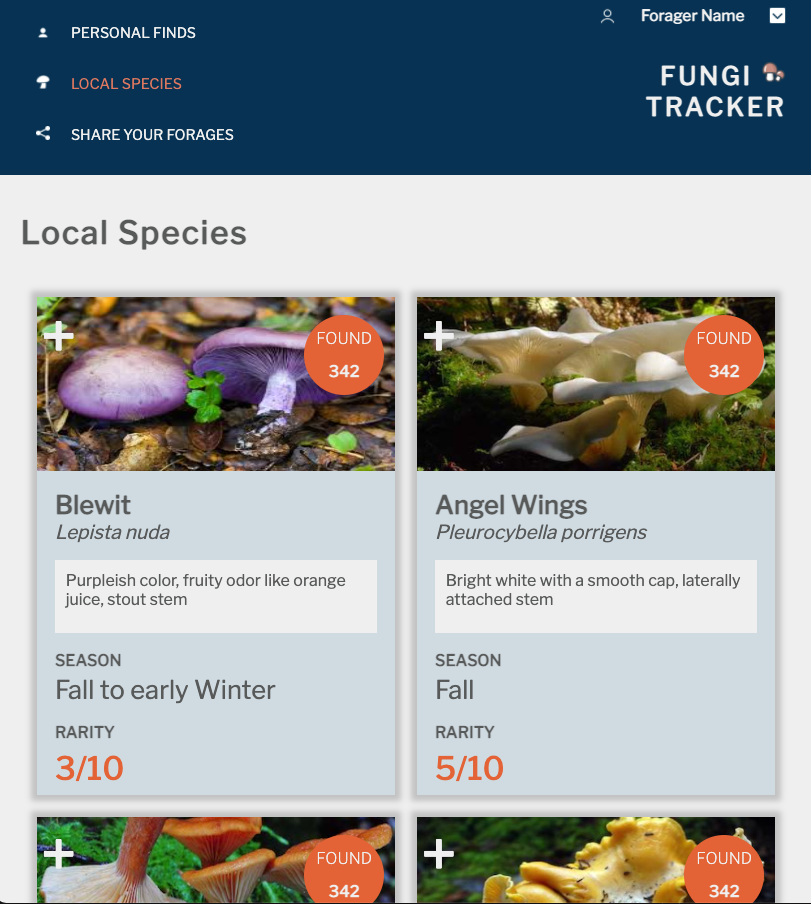 Github Kendallha Css Static Comp