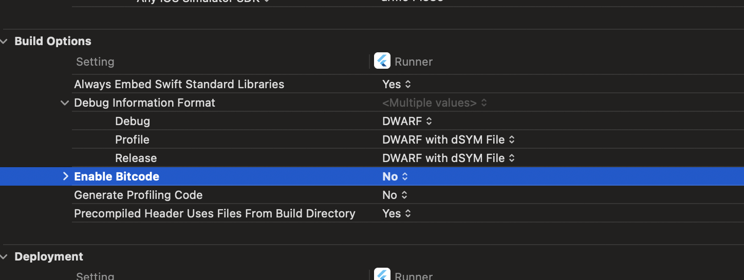 真机ipad mini5 运行master代码失败 · Issue #489 · openkraken/kraken · GitHub