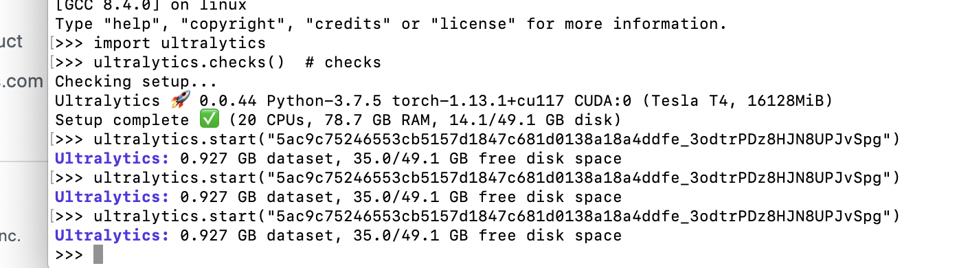 Seems to freeze after ultralytics.start() · Issue #139 · ultralytics/hub · GitHub
