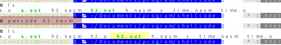GitHub - pwn0x80/pwncode: shellcoding