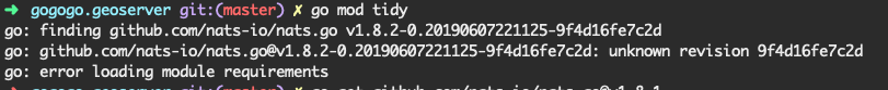 Go Mod Tidy Micro Unknown Revision 9f4d16f · Issue 501 · Nats Ionatsgo · Github 