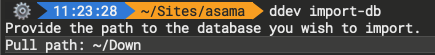 Allow tab-completion for file path prompt in `import-db` · Issue #2244 · ddev/ddev · GitHub