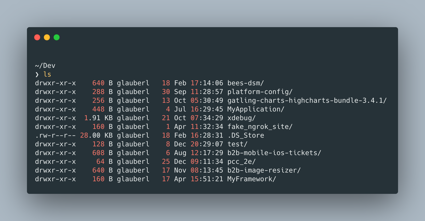 thread 'main' panicked at 'called `Option::unwrap()` · Issue #67 · willdoescode/nat · GitHub
