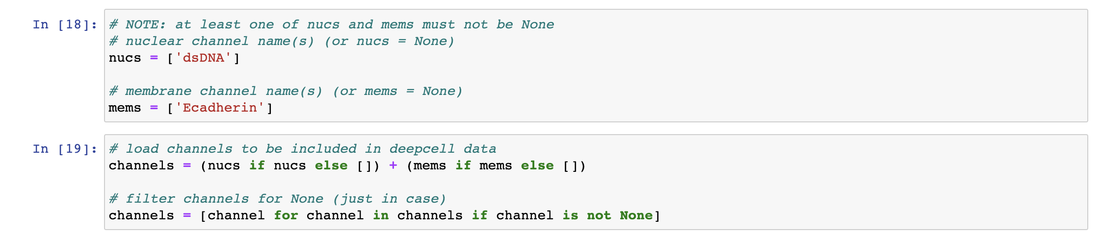 Size errors with different nuclear and membrane channel selection for segmentation · Issue #388 ...