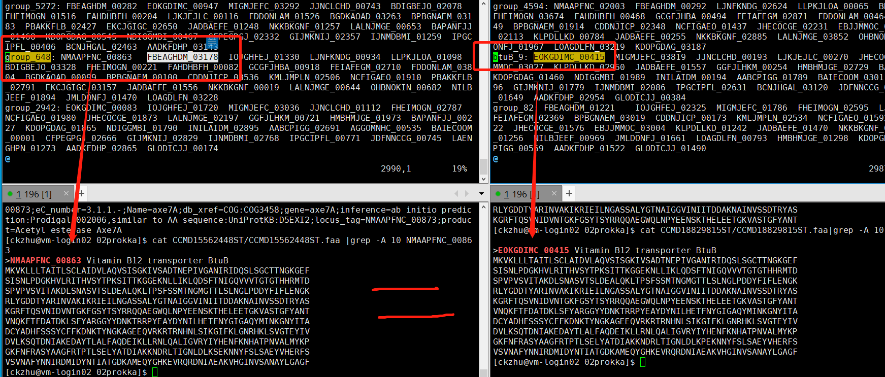 Why 100 identity sequence are different groups? · Issue #540 · sanger-pathogens/Roary · GitHub