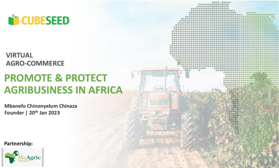 GitHub - Cubeseed/Frontend