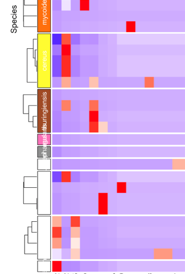 Default color palette for grouping variable is short · Issue #51 · stemangiola/tidyHeatmap · GitHub
