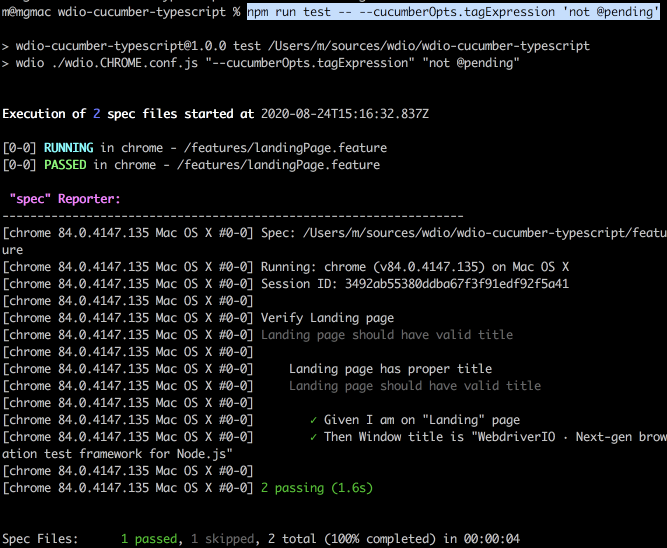 Cucumber not Tag Expressions Not Working On Command Line Issue 