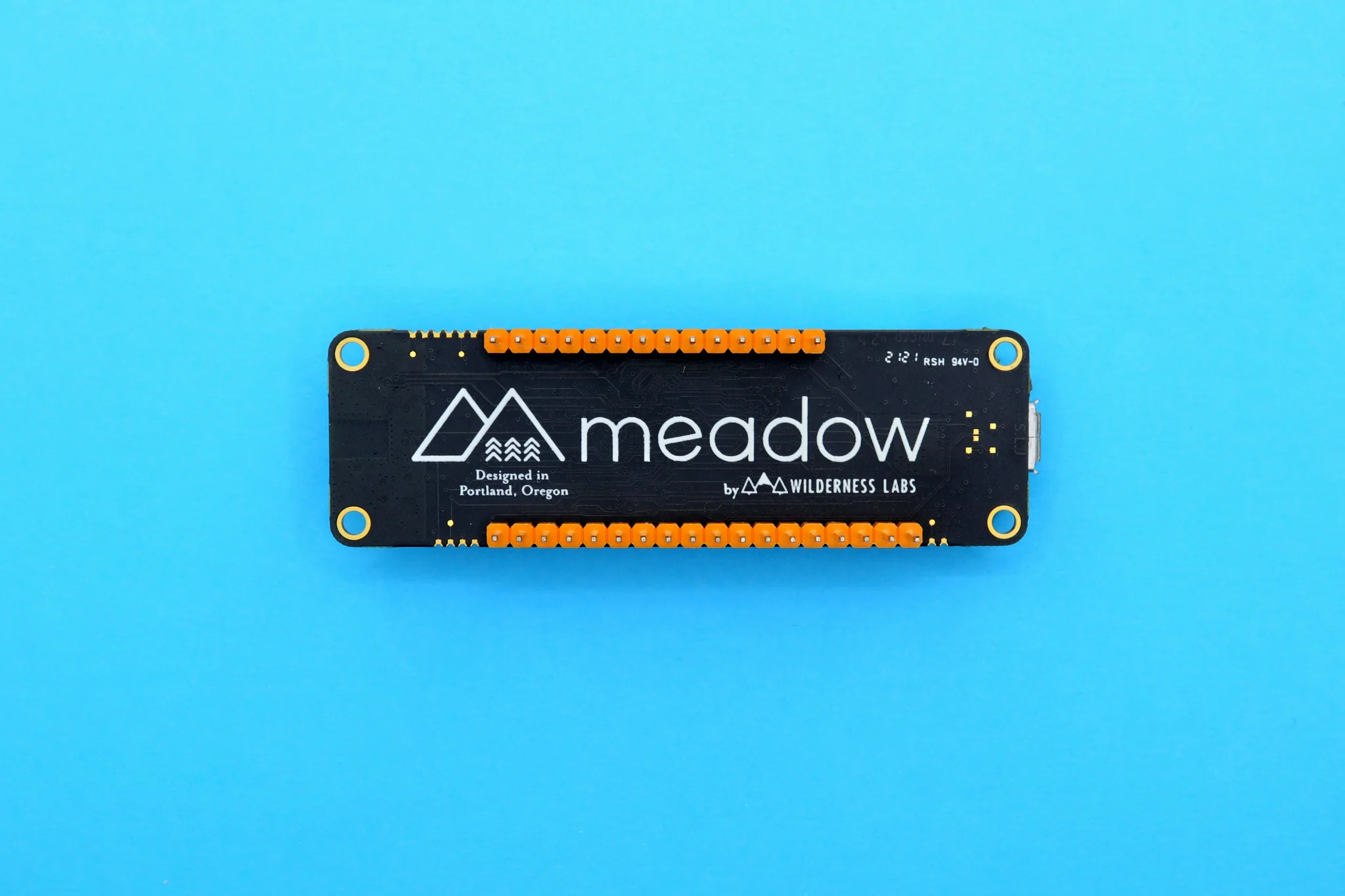 GitHub - Clancey/BeeCollector