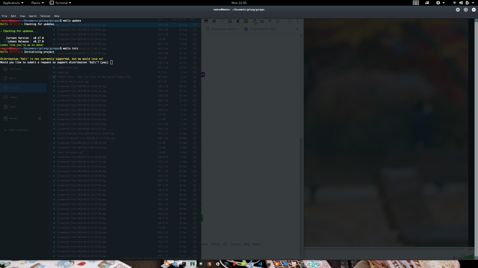 Support Distribution 'Kali' · Issue #215 · wailsapp/wails · GitHub