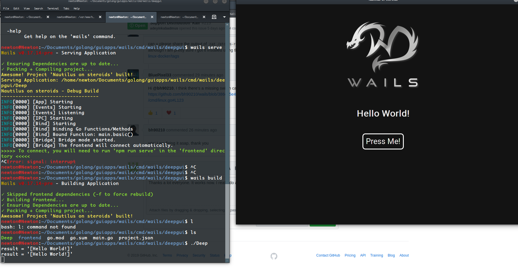 Support Distribution 'Kali' · Issue #215 · wailsapp/wails · GitHub