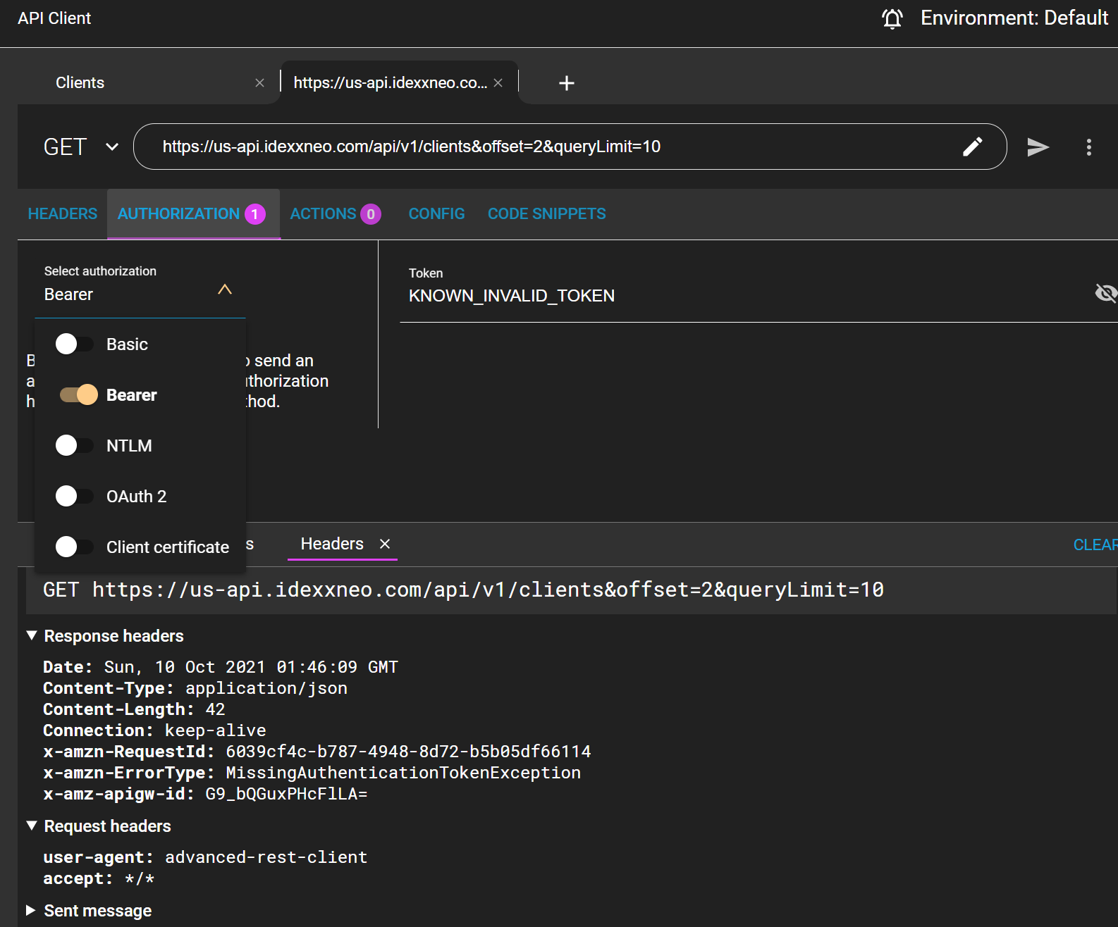 Authorization: Bearer Token Fails to Attach to outbound HTTP GET · Issue #423 · advanced-rest ...